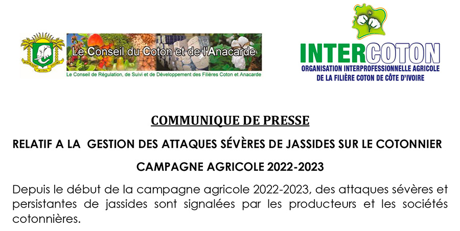 Gestion ses Attaques Sévères de Jassides sur Le Cotonnier - Campagne ...