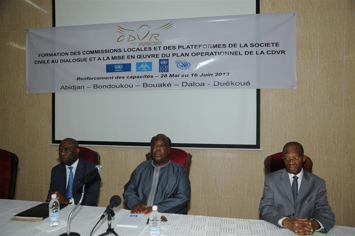 Activités de la CDVR: les commissions locales et les plateformes de la ...