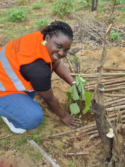 Forêt classée d’Audouin : la Fondation SGCI et la Fondation YES ...