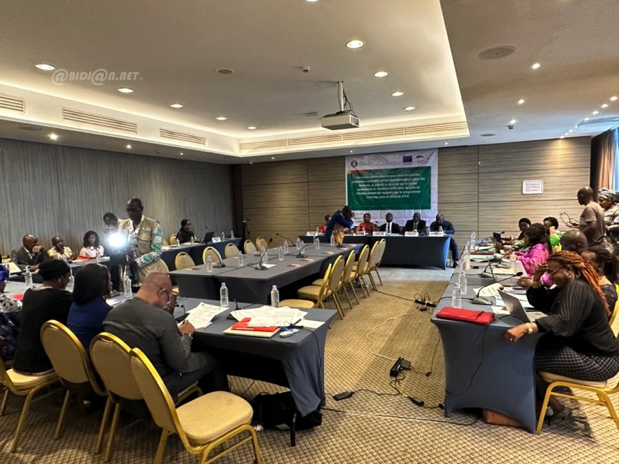 Côte d’Ivoire : Les points focaux de l’agenda « Femmes, paix et sécurité » de la CEDEAO en ...