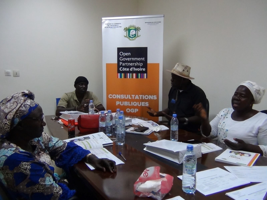 Open Government Partnership (OGP) : les consultations publiques OGP ...