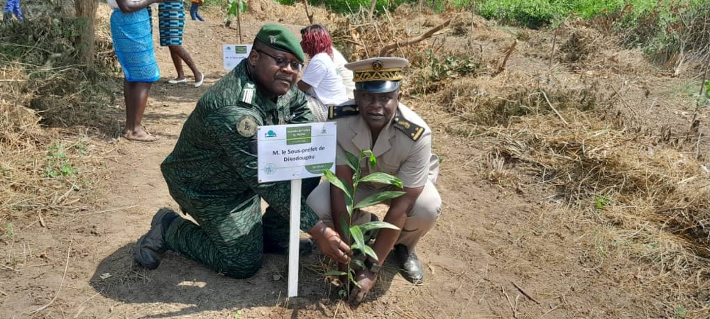 Le Programme d'Appui au Développement de la Filière Agricole (PADFA ...